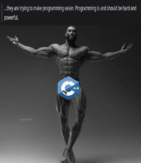 Average C Developer R ProgrammerHumor