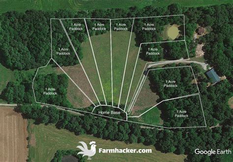 Raising Pigs: The Complete Guide (2023) - Farmhacker.com
