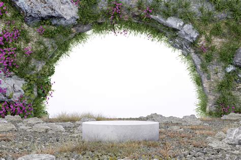 Abstact 3d 렌더링 봄 장면 및 자연 배경 마른 잔디밭과 바위 배경 돌 잔디 및 꽃 아치 문 제품 디스플레이 광고 화장품 등 0명에 대한 스톡 사진 및 기타 이미지