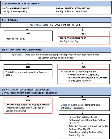 Clinical Management Algorithm For Assessing And Managing Shoulder Pain Download Scientific