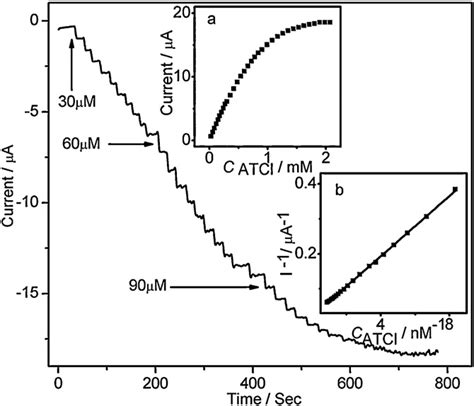 Typical Current Time Response Curve For The Biosensor Upon Successive