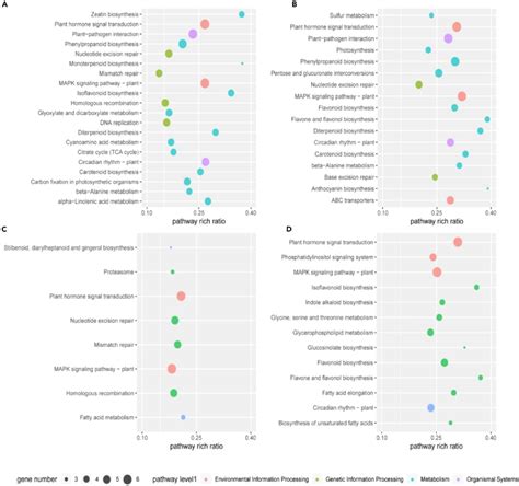Comparative Genomic And Transcriptomic Analyses Provide New Insight