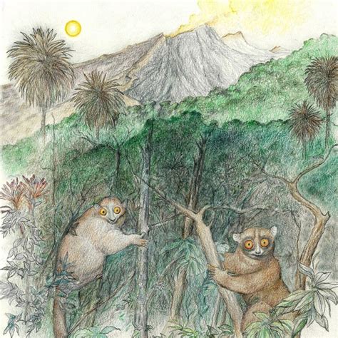 Eocene Epoch The Dinosaur Fan Is A Dinosaur Card Collectors