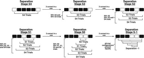Decision Making In Mice During An Optimized Touchscreen Spatial Working