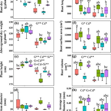 Shoot And Root Attributes Of Maize Genotypes Zhongke11 And