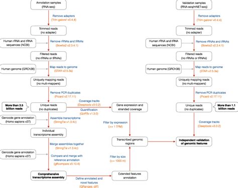 Flow Chart Of The Data Analysis Pipeline Schematic Describing The Main