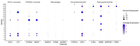 Visualizing The Single Cell Rna Seq Workflow