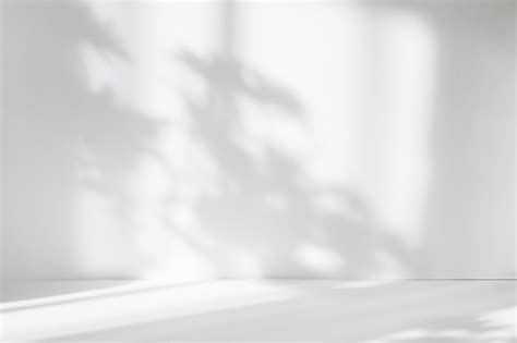 제품 프레젠테이션을 위한 추상적인 흰색 스튜디오 배경입니다 창문과 꽃과 야자수 잎의 그림자빈 방 복사 공간이있는 3d 룸 여름 콘서트 흐린 배경 배경 주제에 대한 스톡 사진