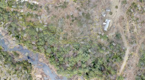 orthomosaic of forested area produces contours around coniferous tree