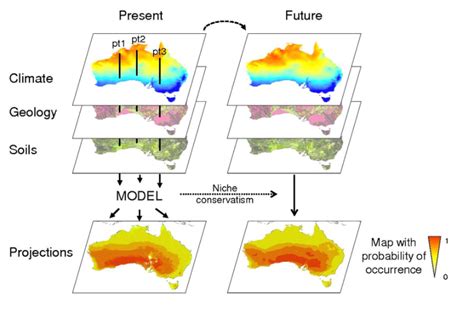 Species Distribution Model