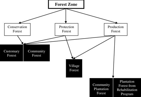 2 Conceptual Framework Of Community Based State Forest Management Download Scientific Diagram