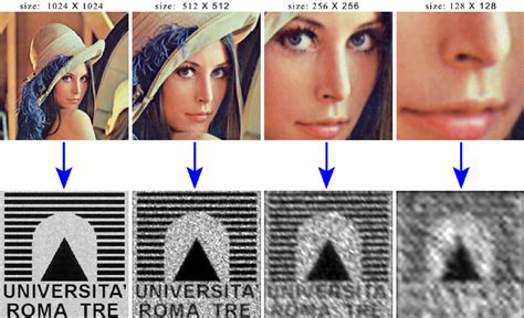 Partial Images And Relative Reconstructed Mark The ‘lena Image Is