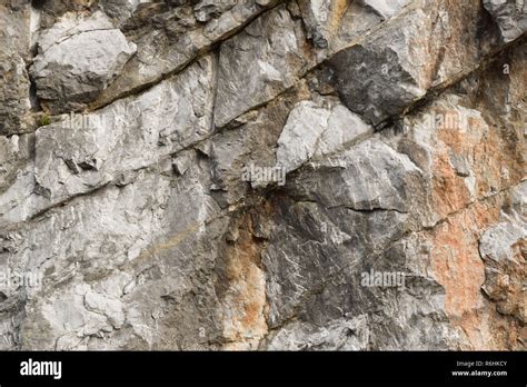 Greywacke Rock Texture