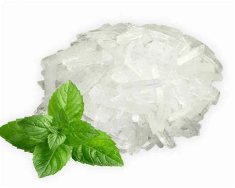 Menthol Crystal Ip 25 Kg At ₹ 1250 Kg In Ahmedabad Id 2851916257197