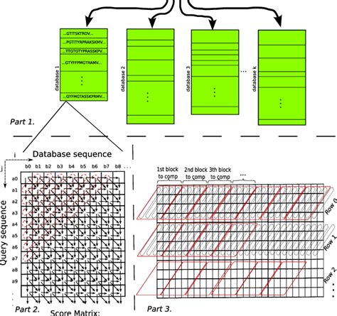 Sw Execution Scenario And Type Of Parallelism Download Scientific Diagram