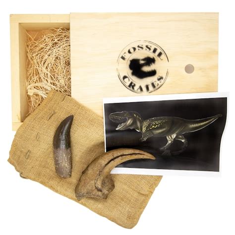 Torvosaurus King Of The Jurassic Crate Etsy