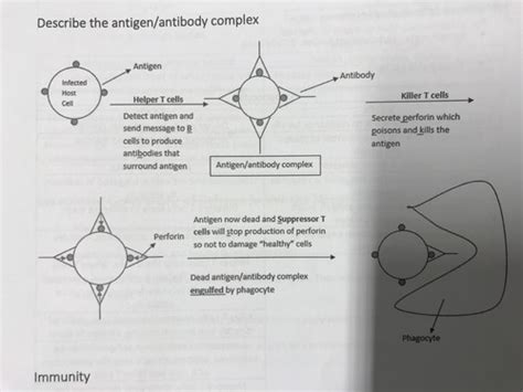 Human Defence System Flashcards Quizlet