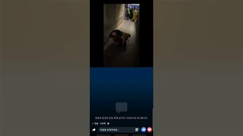 여자 싸움 입니다 ㅠㅠ Youtube