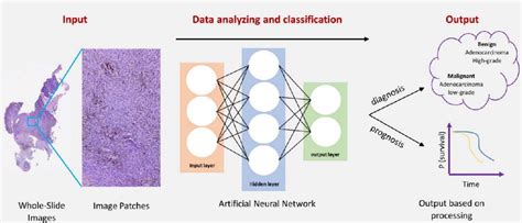 Figure From Deep Learning Approaches In Histopathology Semantic Scholar