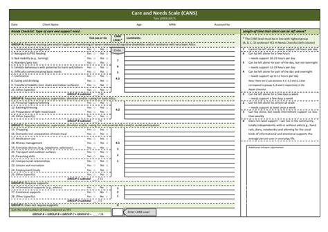 Care And Needs Scale 3 Pdf Health Care Psychology
