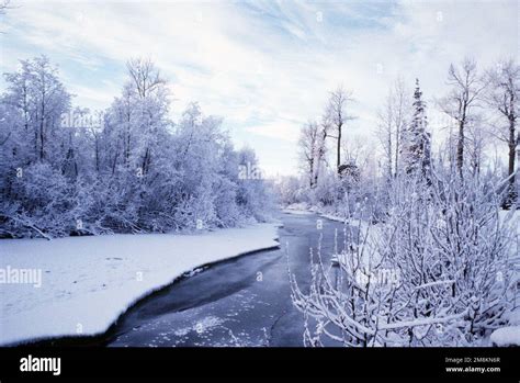 Alaska Winter Wallpaper