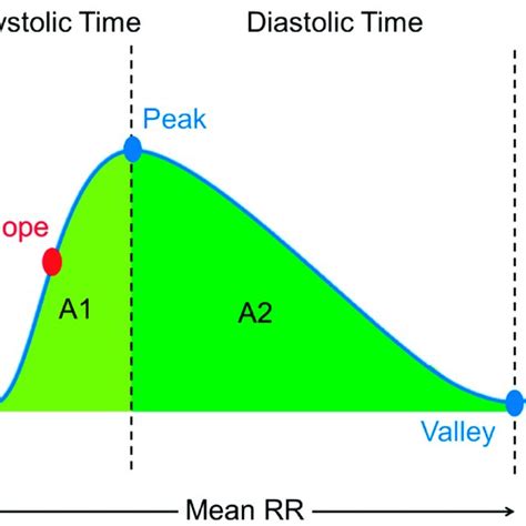 The Characteristics Of Ppg Morphology Corresponds To The Pulsatile Ppg Download Scientific