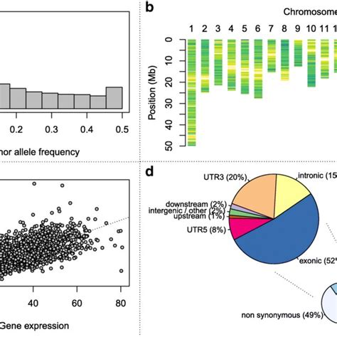 Variant Calling Pipeline Schematic Representation Of The Bioinformatic