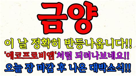 금양 오늘 장 마감후에 나온 소식 전합니다 이제 상방으로 방향을 바꿀려고 하네요이젠 오를일만 남은걸까요