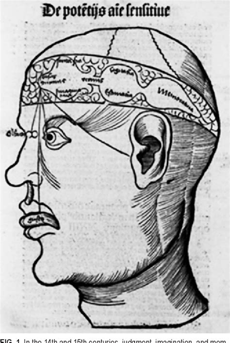 Figure From A Brief History Of Cortical Functional Localization And Its Relevance To
