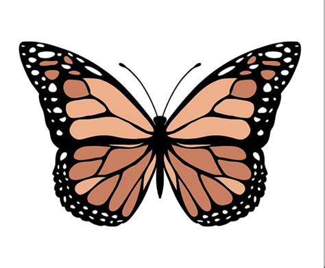 Pin By Mariana Lira On Mariposas Butterfly Drawing Aesthetic