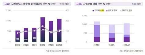 오션브릿지 반도체 수혜 반영되면 주가 더 뛴다 파이낸셜뉴스