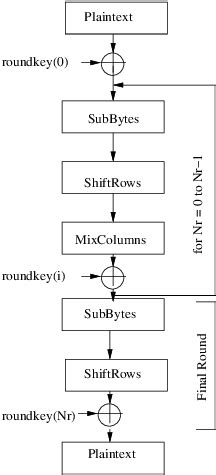 Block Diagram Of The AES Algorithm Download Scientific Diagram