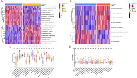 biological characteristics and time contexture of m6a methylation