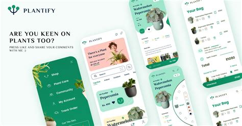 Parham Jalali On Linkedin گیاه بیماریهای Design Uidesign Uxdesign