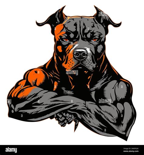 A Vector Design Of A Strong Pitbull With Muscles And Crossed Hands