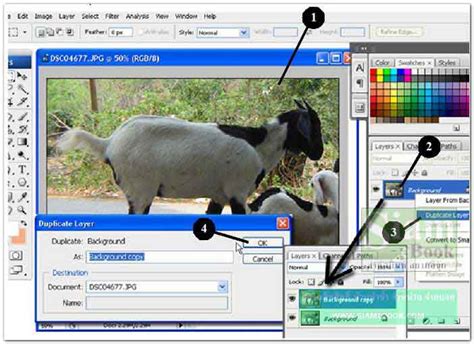 การสร้างเงาให้ภาพด้วย Photoshop Cs3