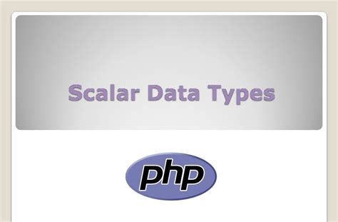 What Is Scalar Data Type In Computer Science Design Talk