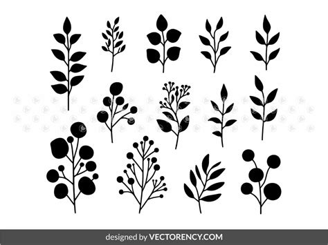 Eucalyptus Element Set Svg Eps Dxf Png Vectorency