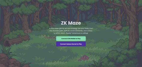 A Chain Abstraction Based Zk Coprocessor By Zcloak Network