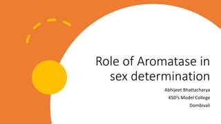 Role Of Aromatase In Sex Determination PPT