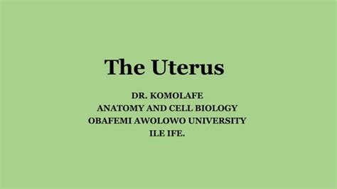 Lower Uterine Segment Ppt