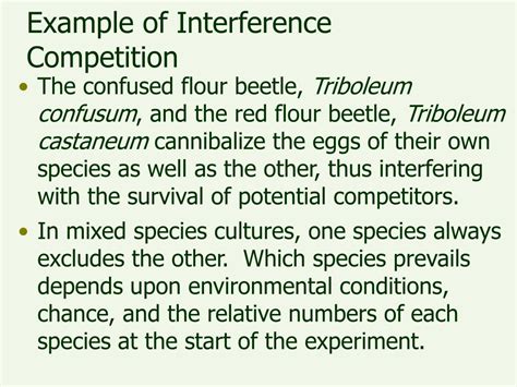 Interference Competition