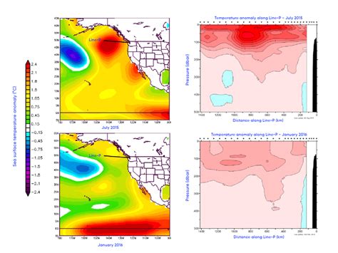 5 The Left Hand Panels Show Sea Surface Temperature Anomaly Data