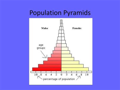 Population Pyramid Definition