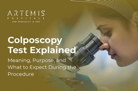 2d Echo Test Types Normal Range Procedure And Result Interpretation