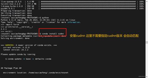 nnunetv2服务器安装教程及训练自己的二维数据 nnu netv2 csdn博客