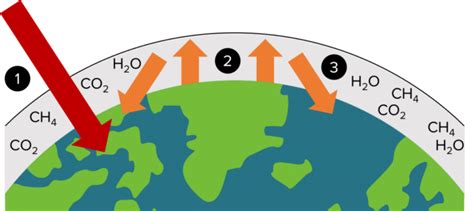 Greenhouse Gasses Questions And Revision MME