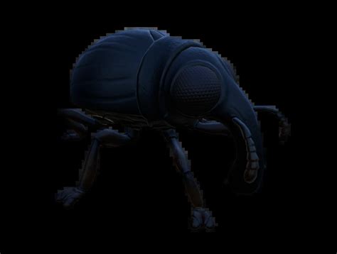 Weevil Grounded Wiki Fandom