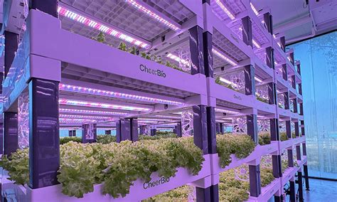 项目案例 爱培生物官方网站