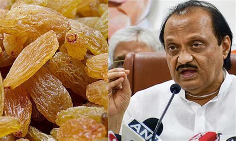 चीन की किशमिश से महाराष्ट्र के किसानों को हुआ भारी नुकसान उपमुख्यमंत्री अजित पवार ने केंद्र को